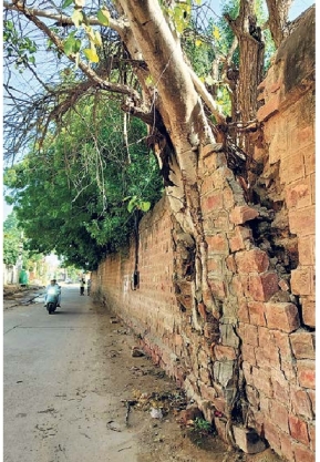 In Sursagar Raoti, the wall adjacent to the trees is crumbling, stones ...