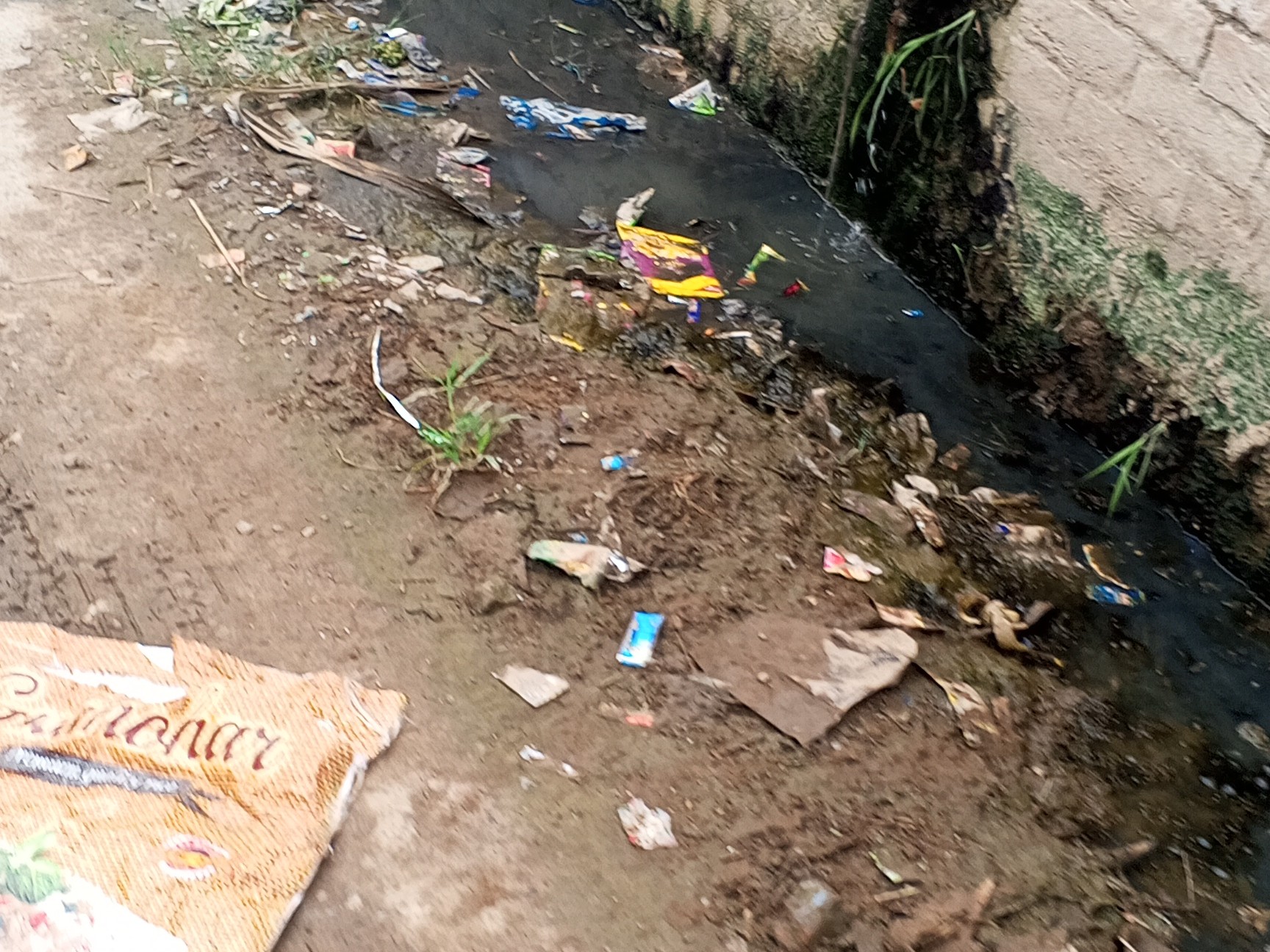 Lack of drains in Majra Sarai | मजरा सराय में नालियों का अभाव: विकास ...