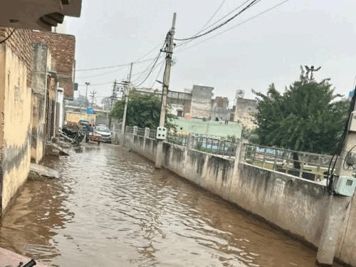 Rohtak-meham-sewage-overflow-problem-ward-6-dairy-waste-issue-residents ...