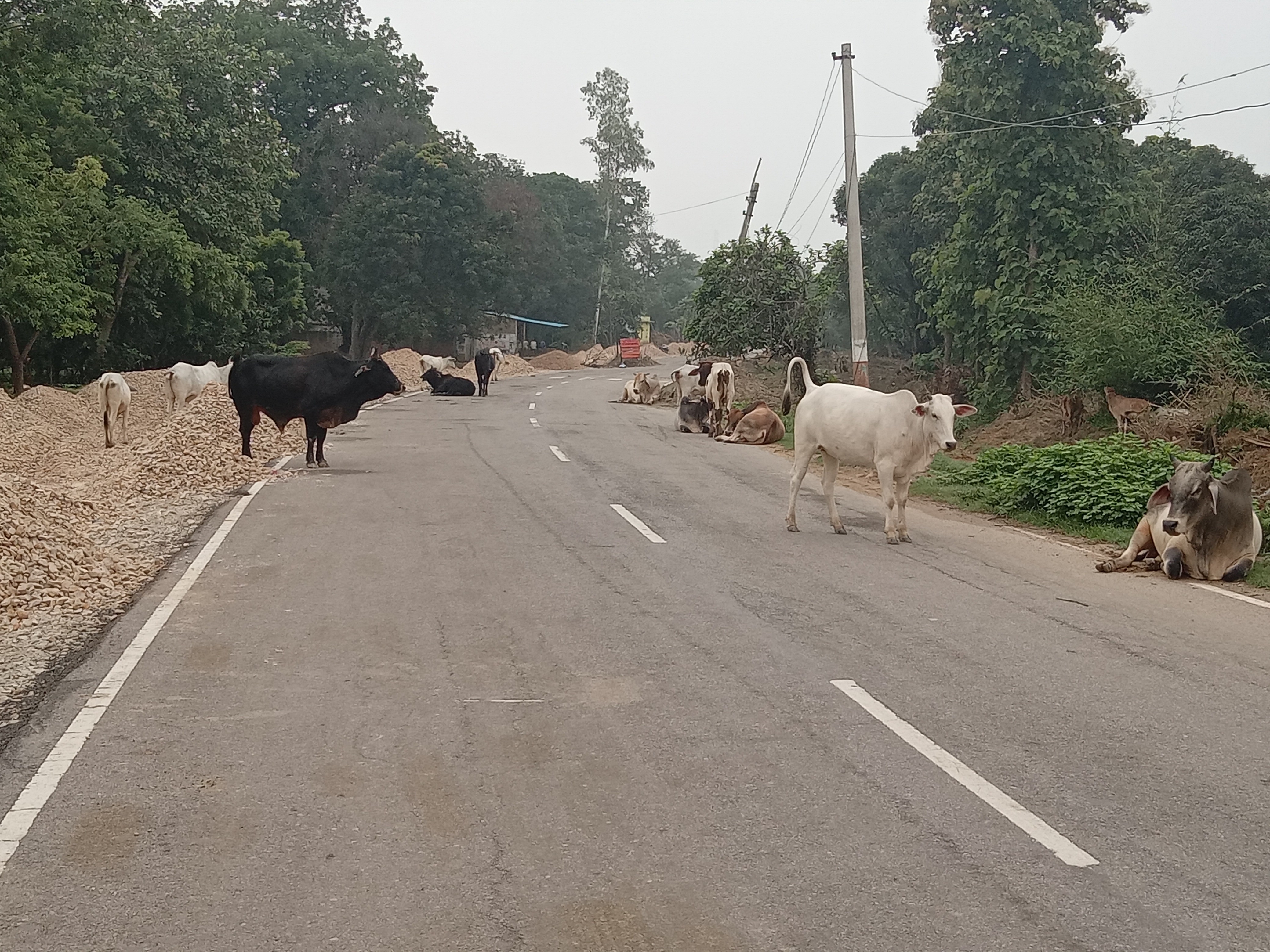 Traffic resumes on Gosaiganj bypass