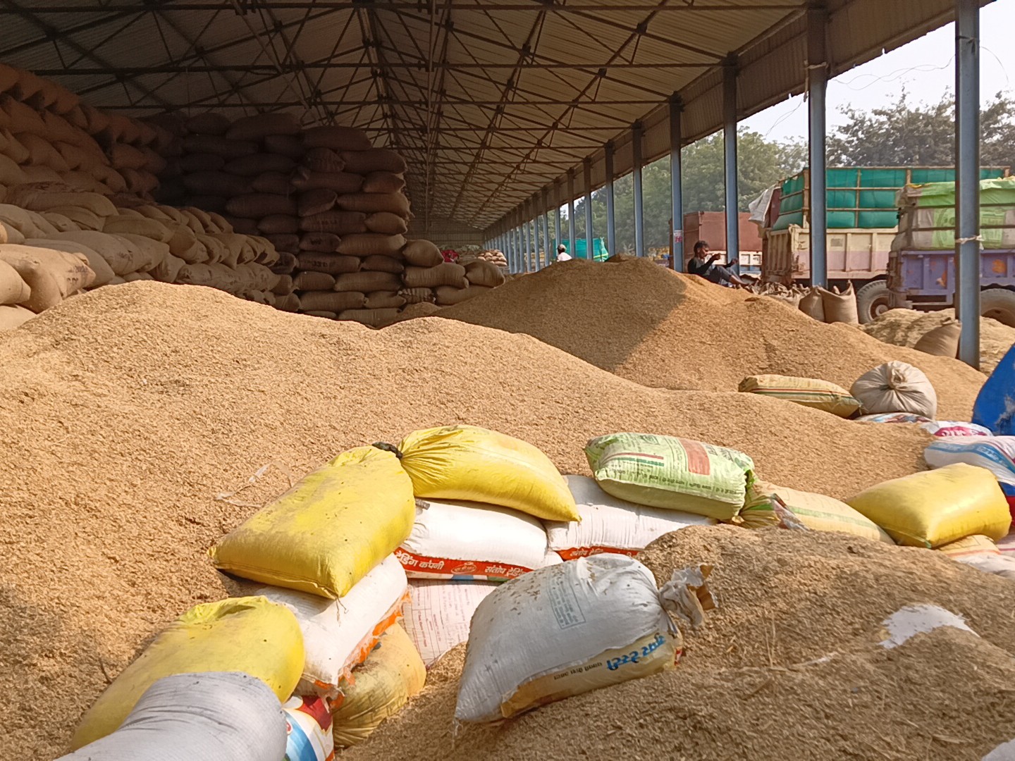 2210 quintals of paddy purchased in Rath Mandi | राठ मंडी में 2210 ...