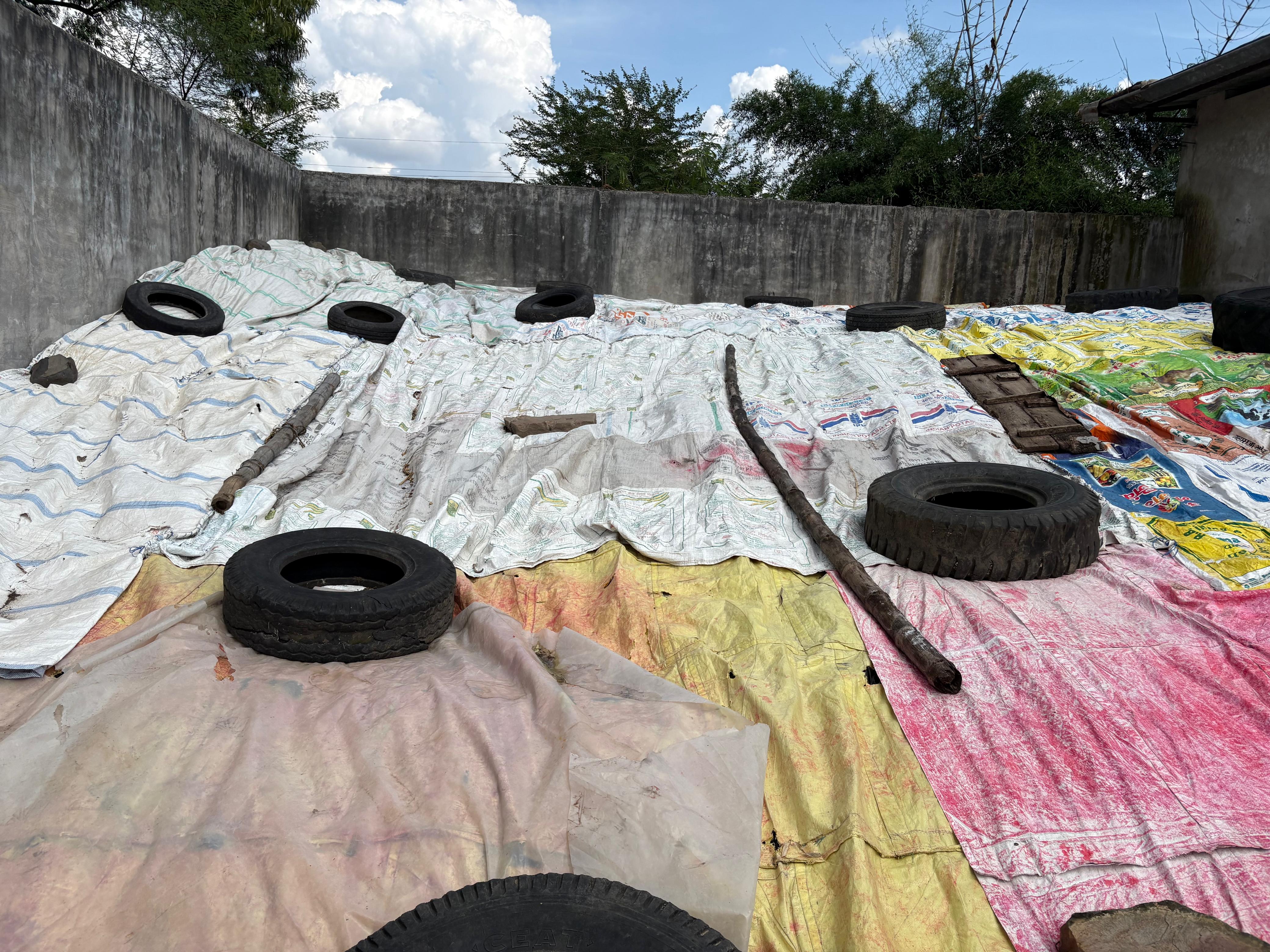 Making silage for animals from maize crop | मक्का फसल से पशुओं के लिए ...