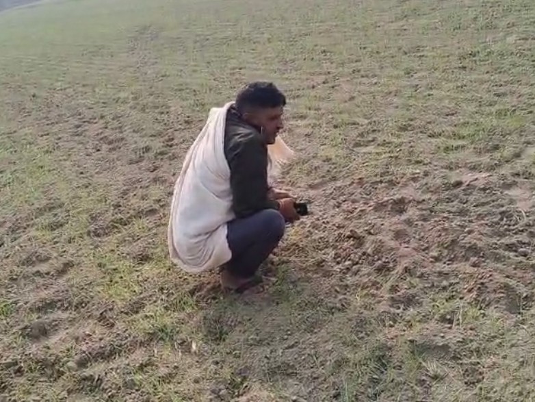 Leopard spotted again in Charthaval, attempts to attack farmer | चरथावल ...