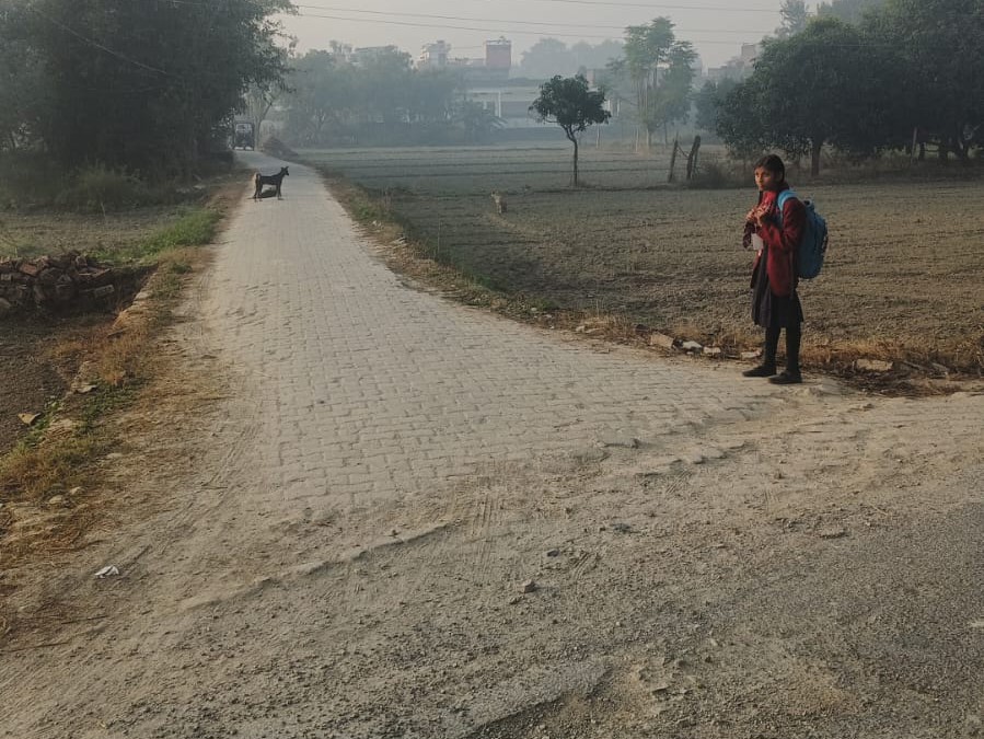 Stray dogs create havoc in Nonra, Mardah | मरदह के नोनरा में आवारा ...
