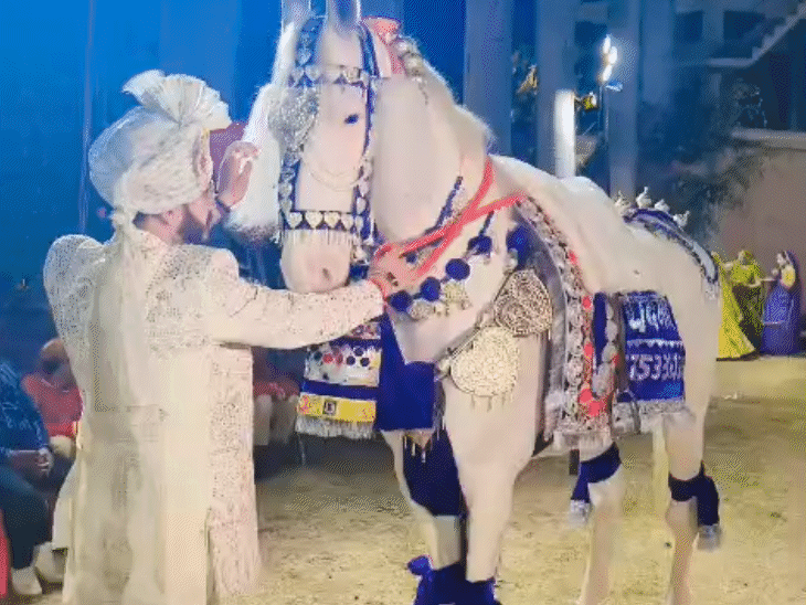 Indore Wedding Ghori Padmavati Booking Price | Shaadi Baraat