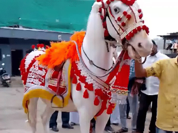 Indore Wedding Ghori Padmavati Booking Price | Shaadi Baraat