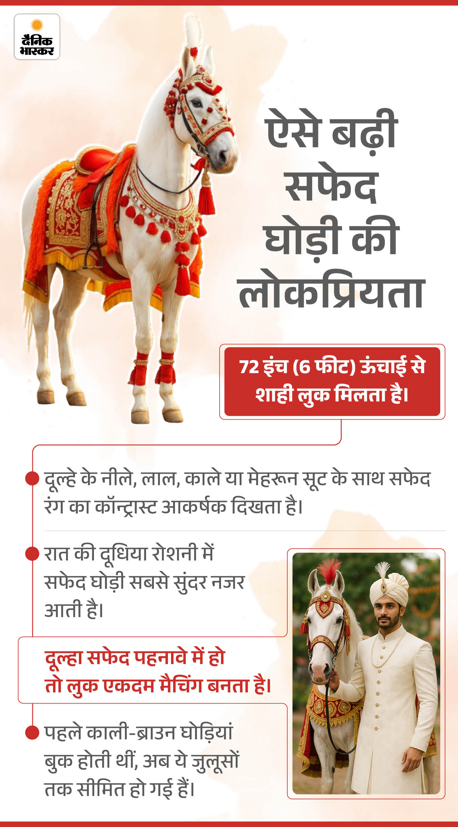 Indore Wedding Ghori Padmavati Booking Price | Shaadi Baraat