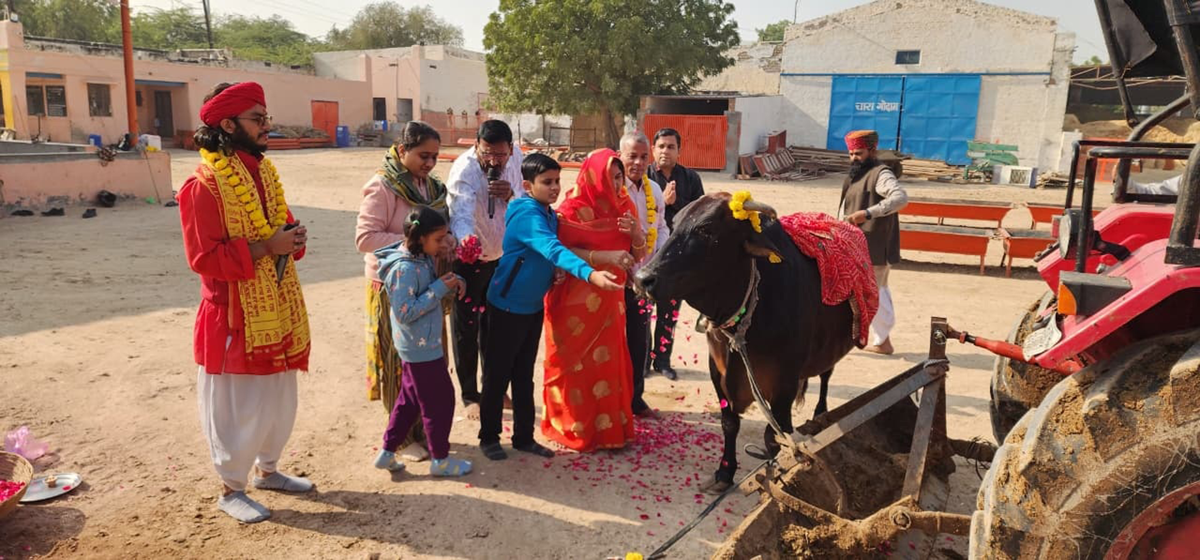 Geeta Jayanti festival celebrated in cowshed, cow prasad distributed
