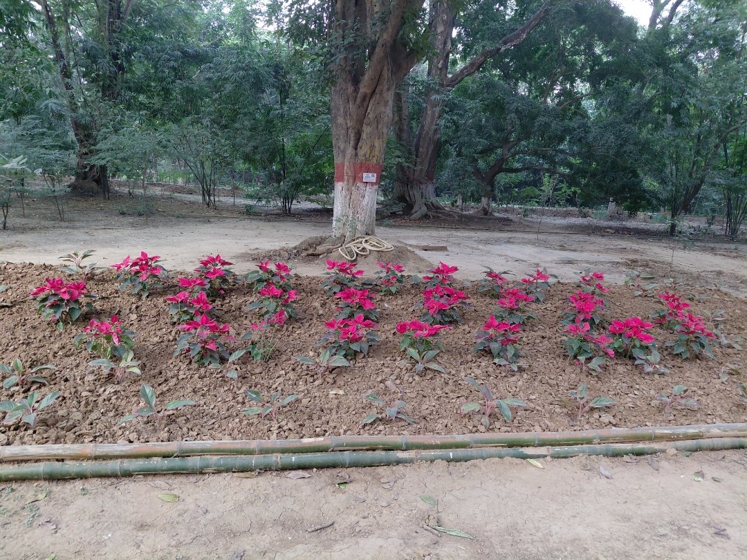 The changing face of Patna Zoo