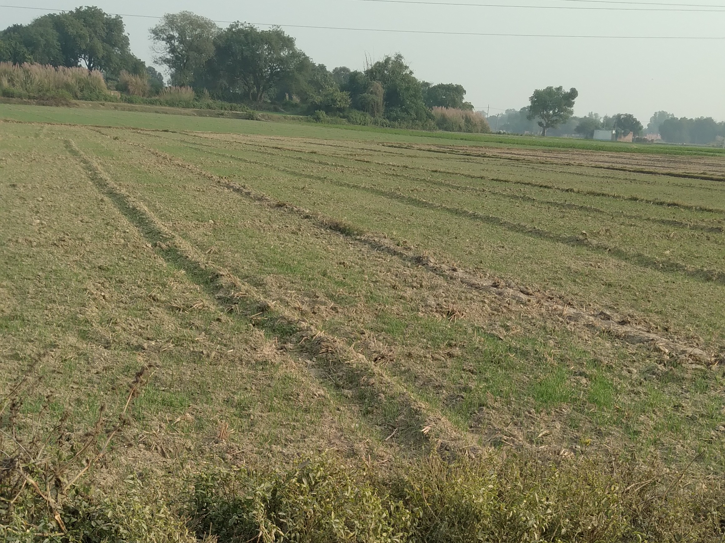 Water supply in the canal stopped, crisis on the first irrigation of ...
