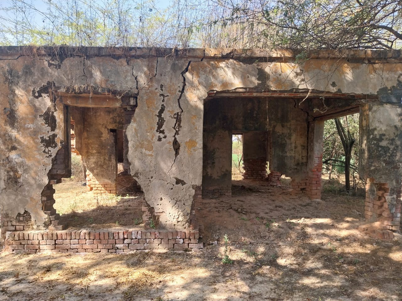 Bari Gohanna Panchayat Bhawan turned into ruins