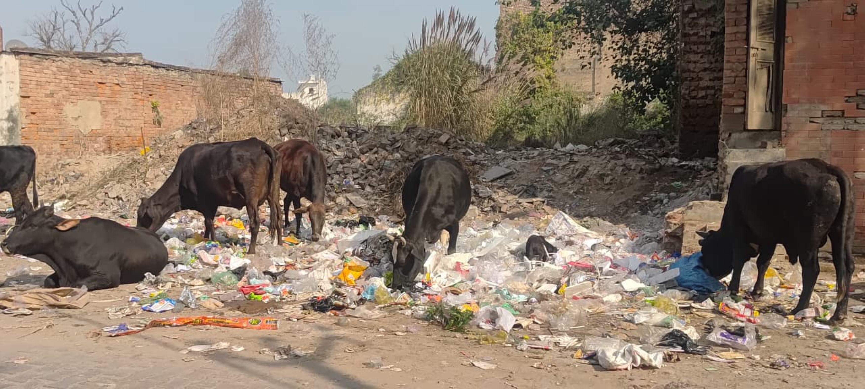 Latest Ambala News (अम्बाला न्यूज़): पढ़ें 12 दिसम्बर के ताज़ा समाचार ...