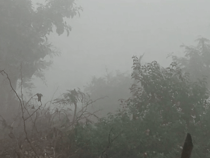 Rajasthan Weather Update; Sikar Temperature | Jaipur Alwar Churu Cold ...
