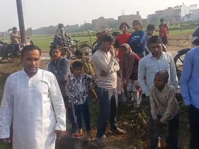 Python spotted on the farmland on Fariha Road