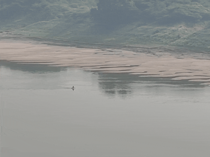 Bhind college student dies after blackmail, FIR lodged against 5 jumps ...