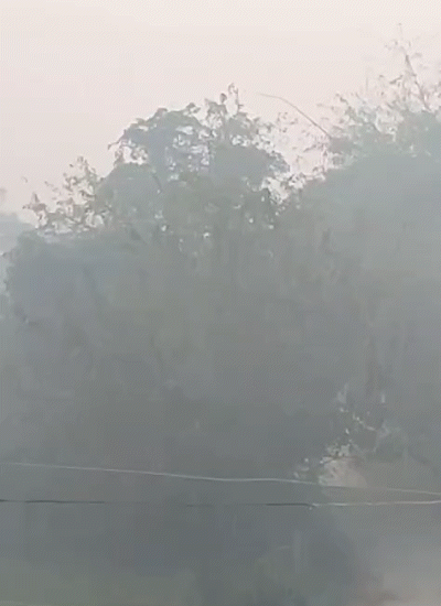 Cold increases in Bihar as temperature drops to 8°C, dense fog to continue