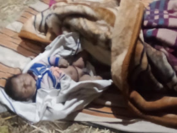 40-day-old newborn dies in elephant attack in Surajpur