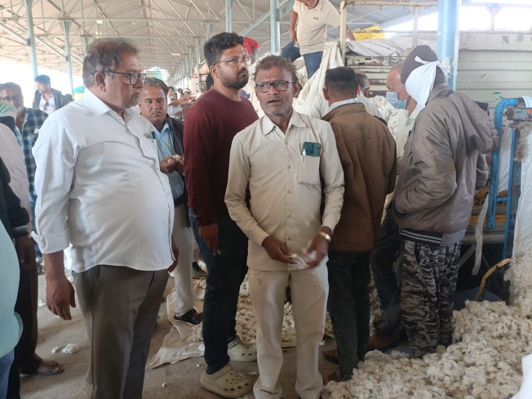 Today, 11074 quintals of produce arrived in Dhamnod Mandi. | आज धामनोद ...