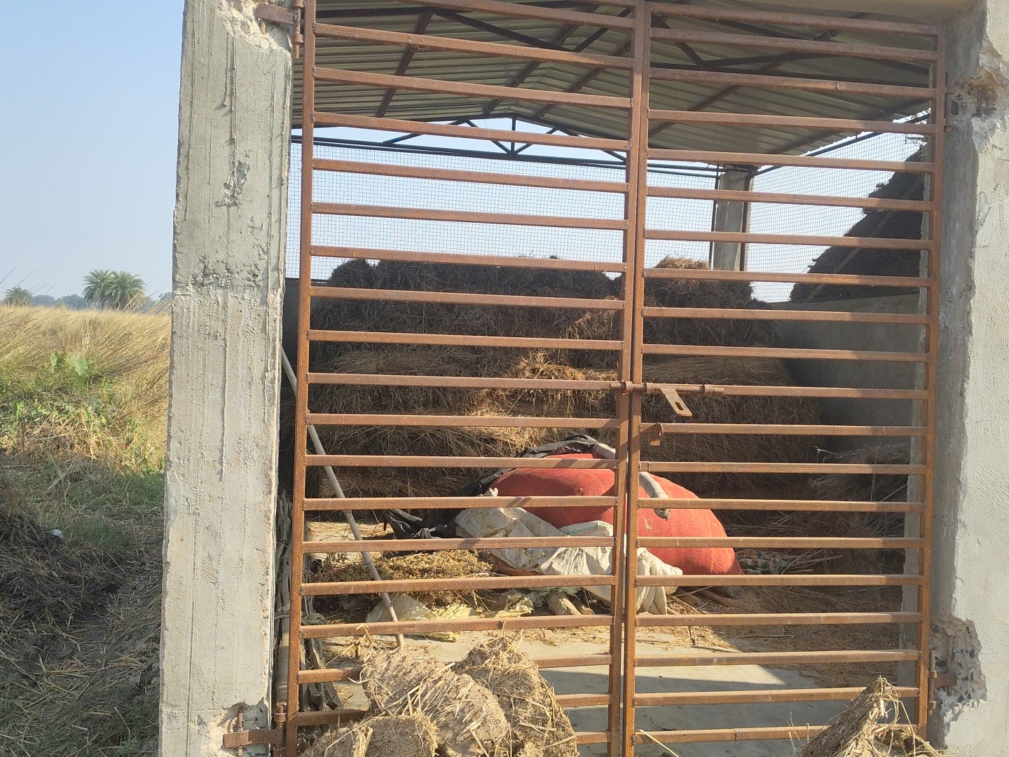 Occupation of waste center in Surwar Khurd of Rudhauli | रुधौली के ...