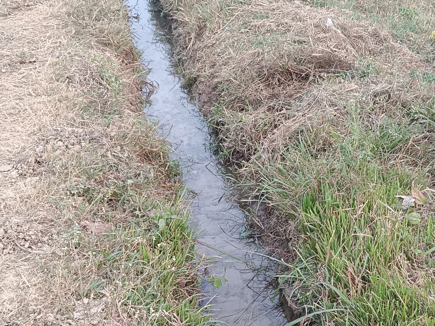 Rasulpur tubewell irrigation channel is dilapidated | रसूलपुर ट्यूबवेल ...