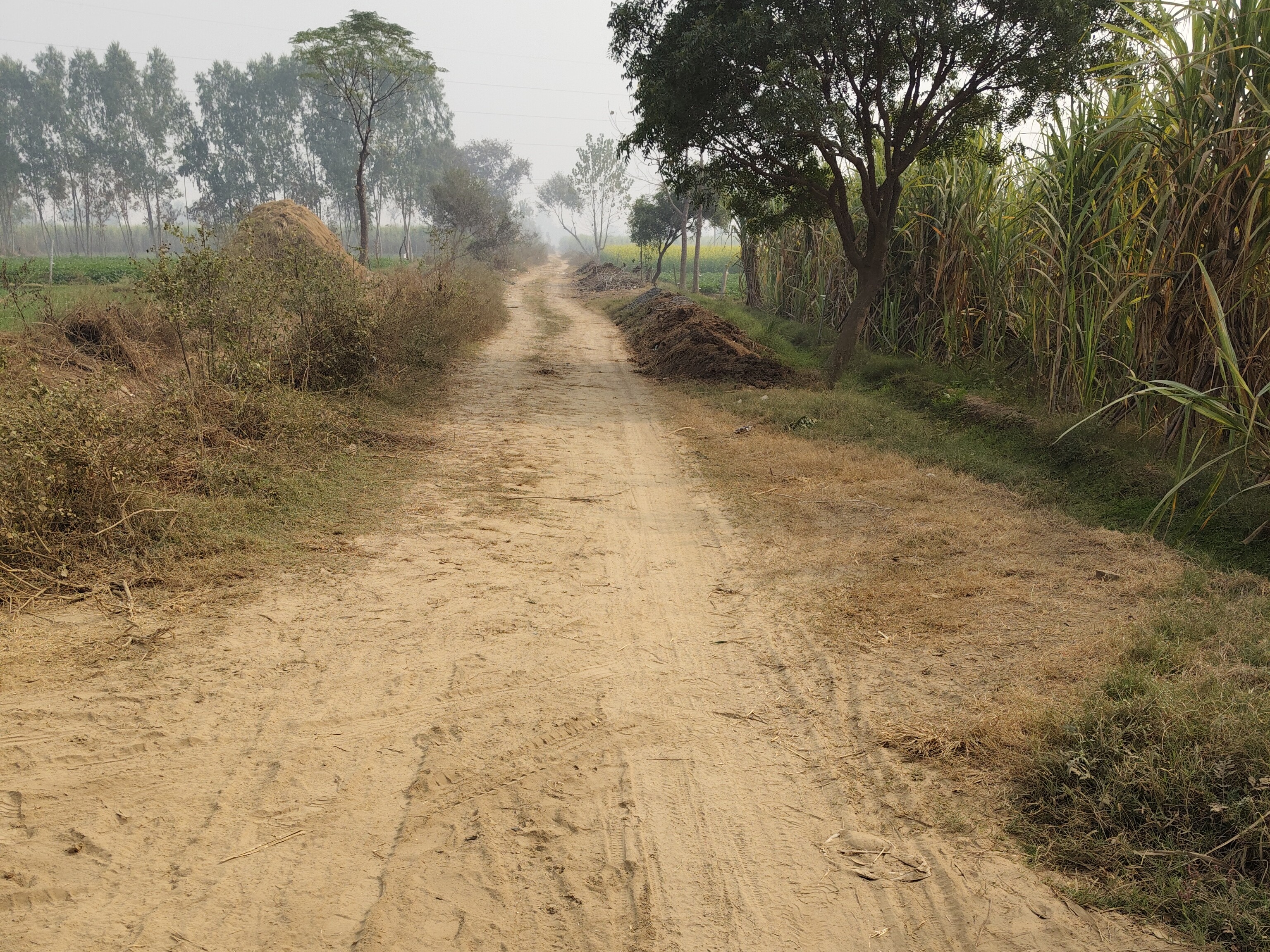 The 2 km Palra-Devrala road in Khurja is in a dilapidated condition.