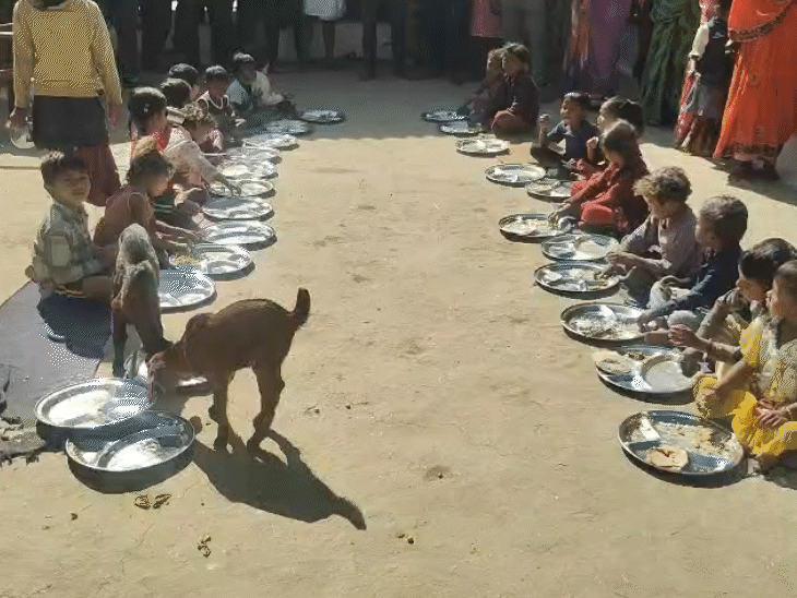 Goats eating food with children in Anganwadi