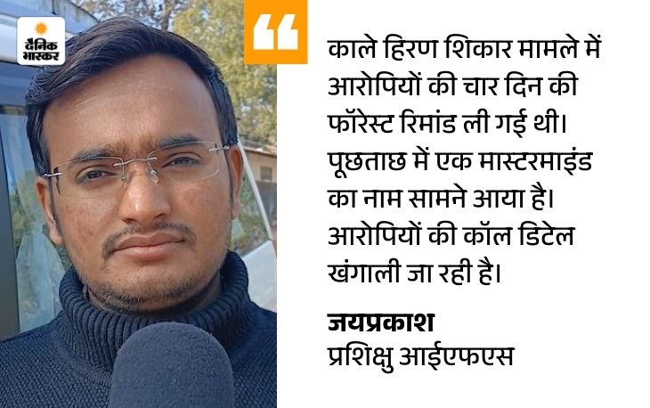 Sagar Blackbuck Hunting Meat Supply Network; Bhopal Mumbai | Doctor