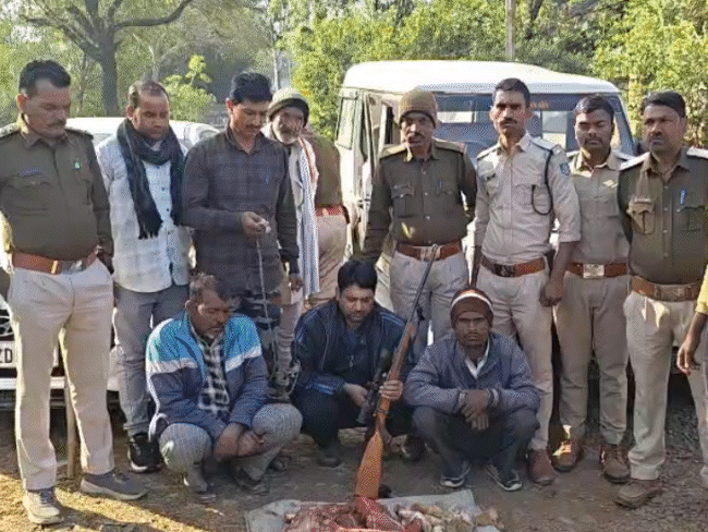 Sagar Blackbuck Hunting Meat Supply Network; Bhopal Mumbai | Doctor