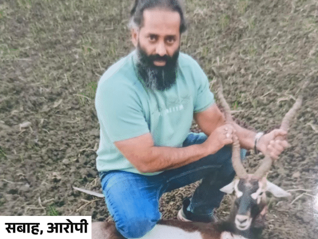 Sagar Blackbuck Hunting Meat Supply Network; Bhopal Mumbai | Doctor