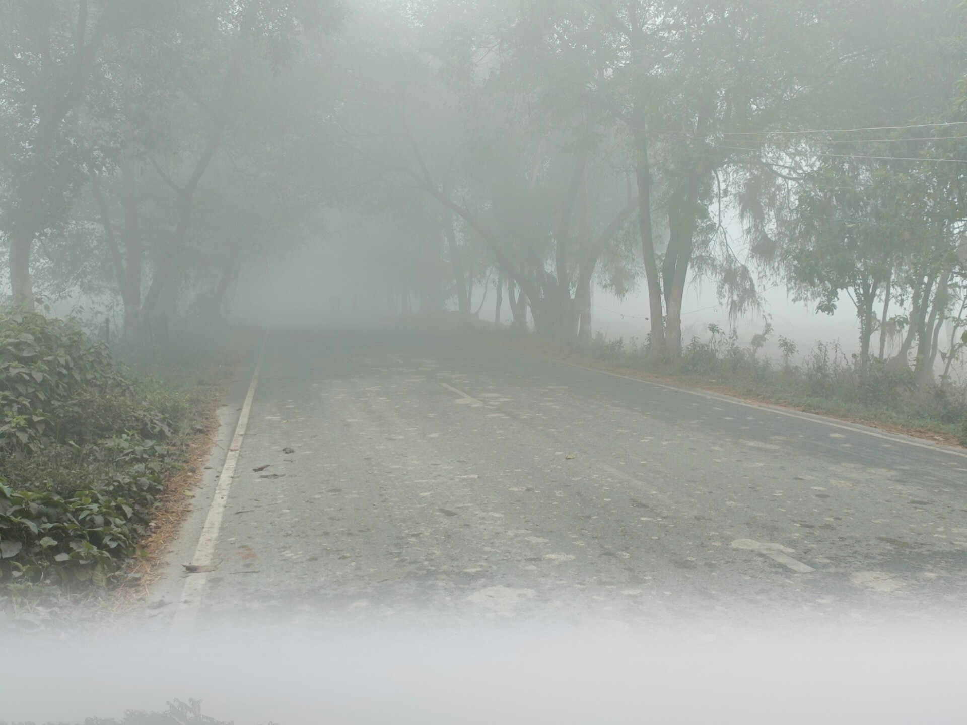 Red alert issued for cold wave in Sheohar.Sheohar, Sheohar news, Dainik Bhaskar Sheohar ...