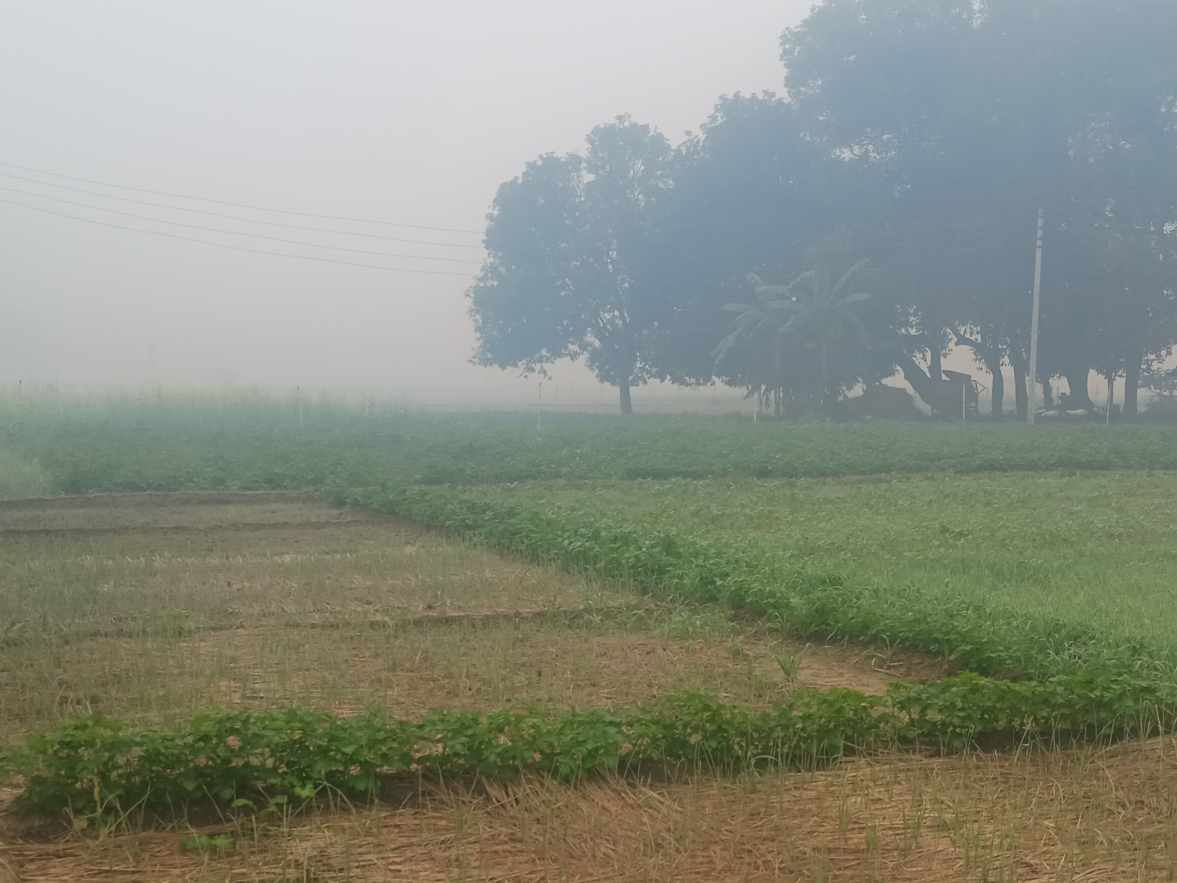 Weather changes in Amethi, farmers worried