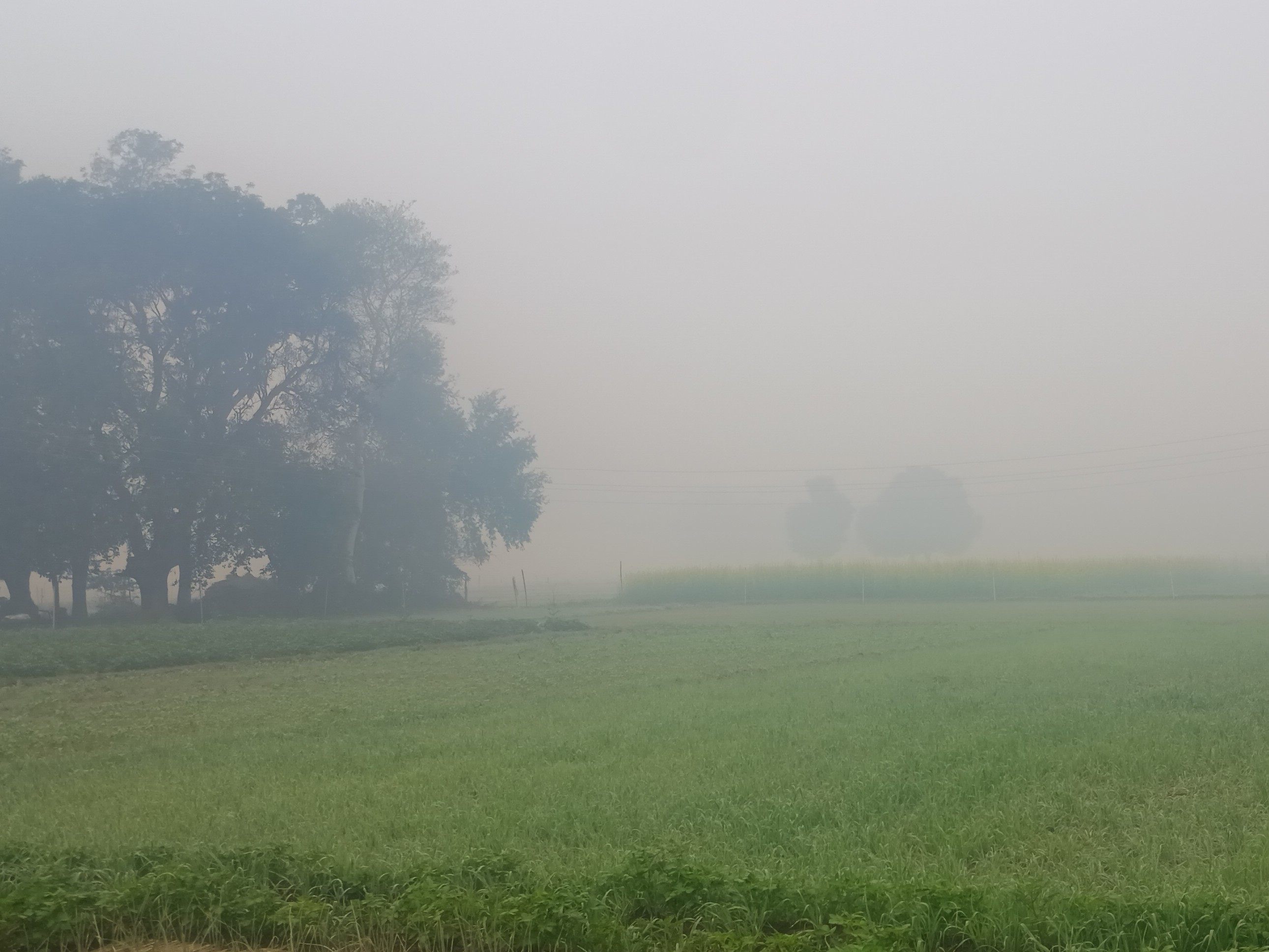 Weather changes in Amethi, farmers worried