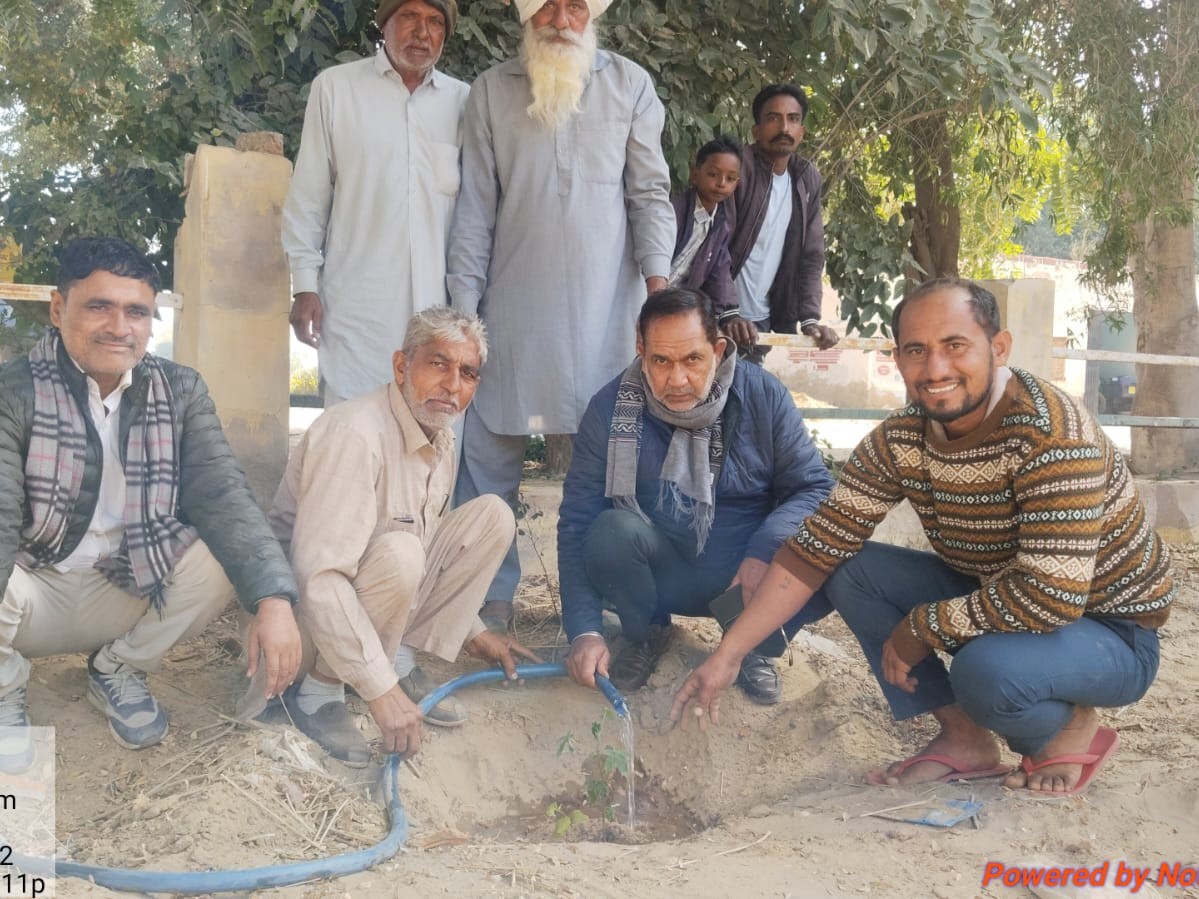 Plantation took place in Patroda Panchayat | पतरोड़ा पंचायत में हुआ ...