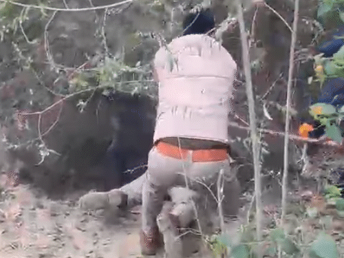 Badaun Wild Boar Attack Case | Forest Officer Injury Photos