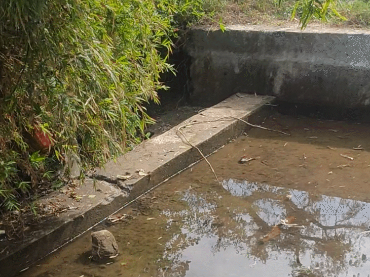 Investigation exposes Khandwa officials’ massive deception - Madhya ...