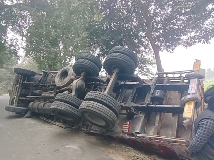 Truck overturned while trying to save animals in fog | कोहरे में जानवर ...