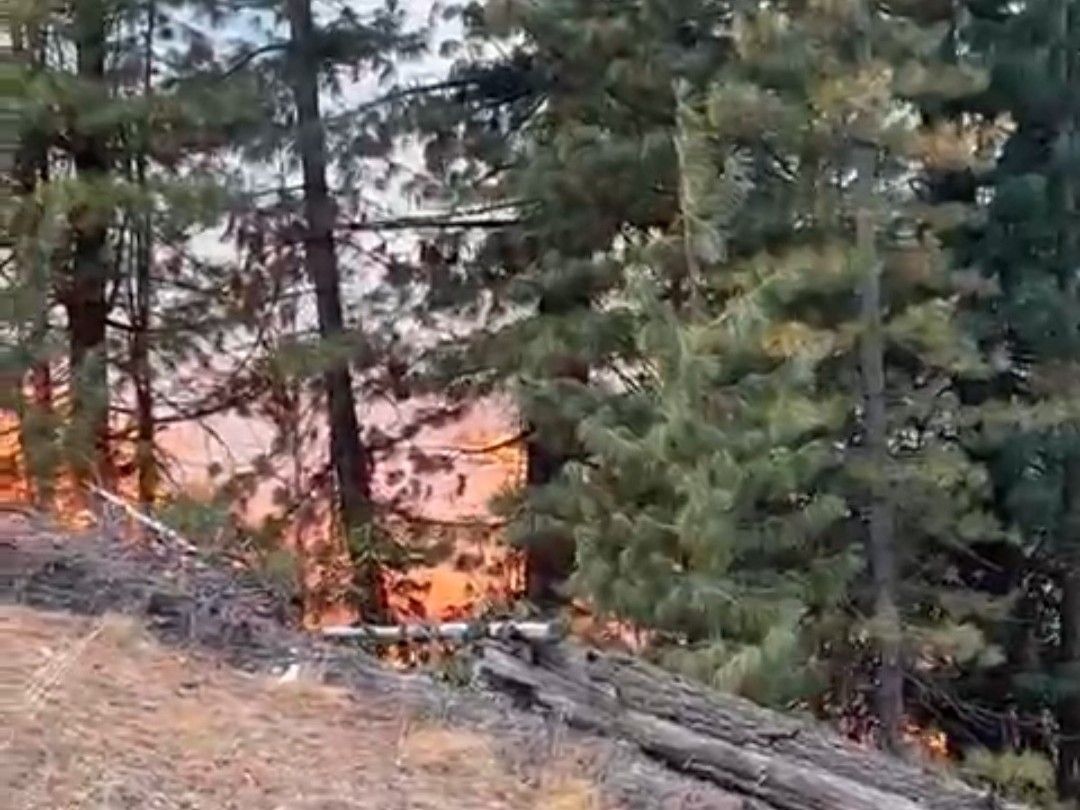 Massive fire in Kinnaur forest | किन्नौर में जंगल में आग: सड़क से दूर ...