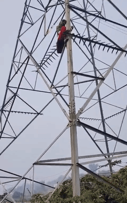 Young woman climbs 175 foot power tower in Prayagraj; Threatens family ...