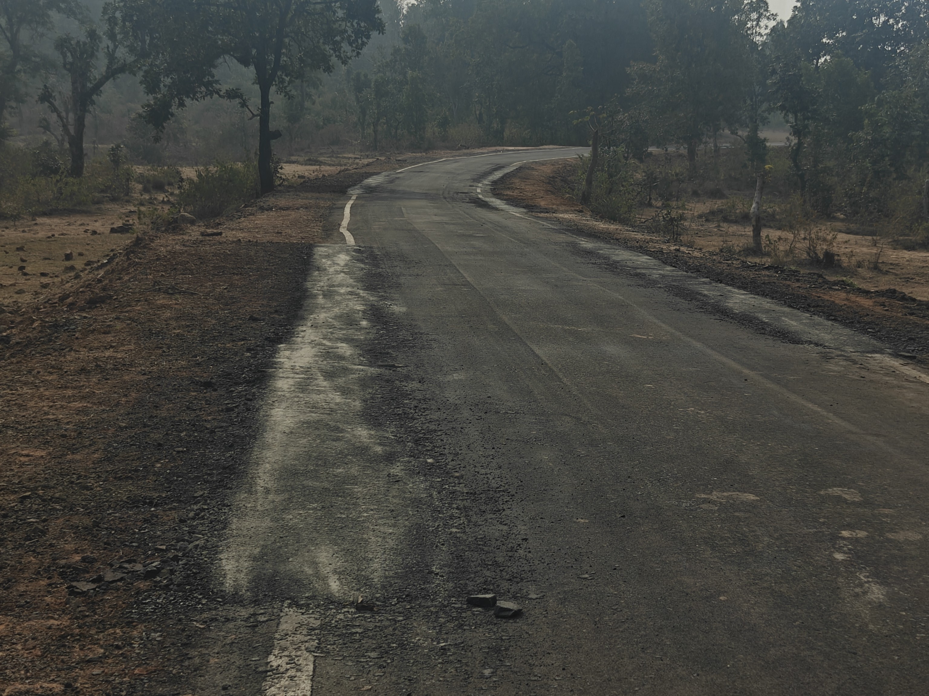 Umaria road uprooted in a year | उमरिया में एक साल में उखड़ी सड़क: लोक ...