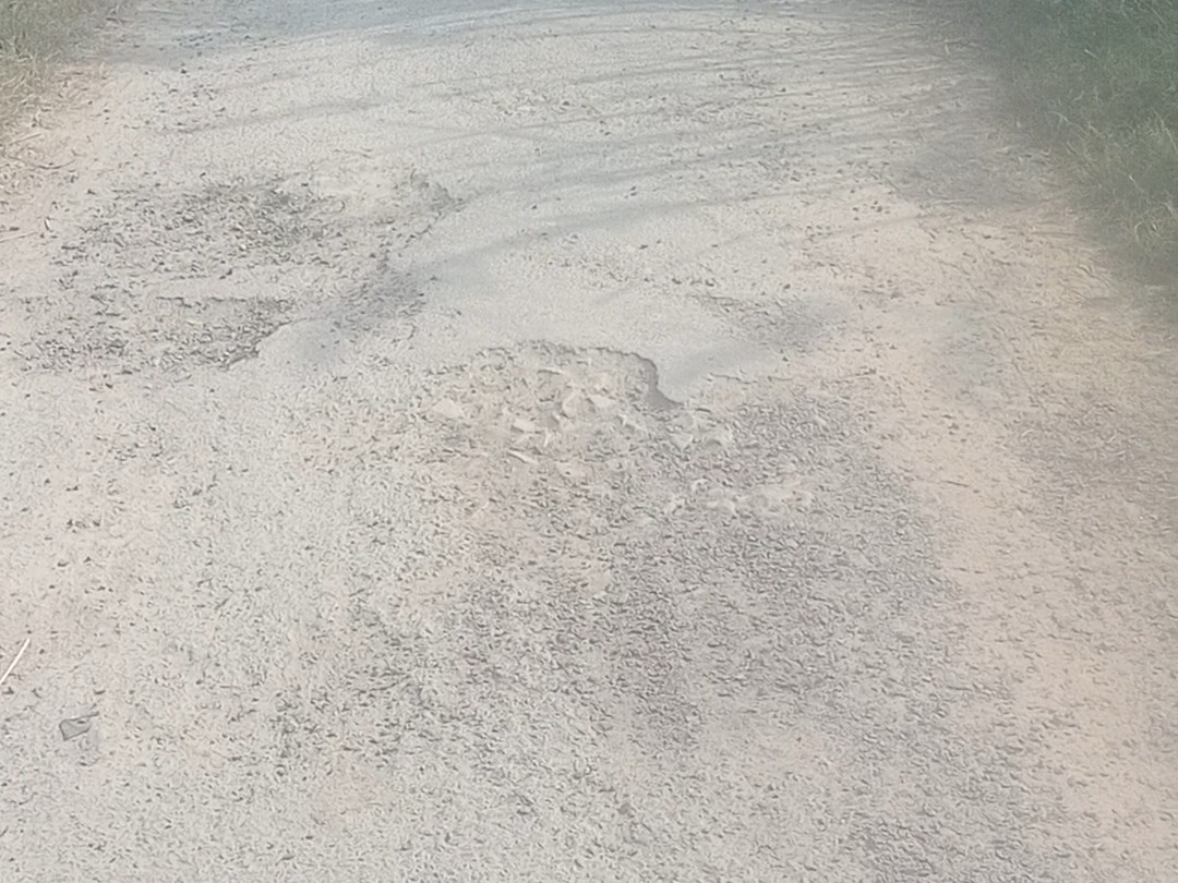 Tiwarin Kheda road in Kheer is dilapidated | खीरों में तिवारीन खेड़ा ...