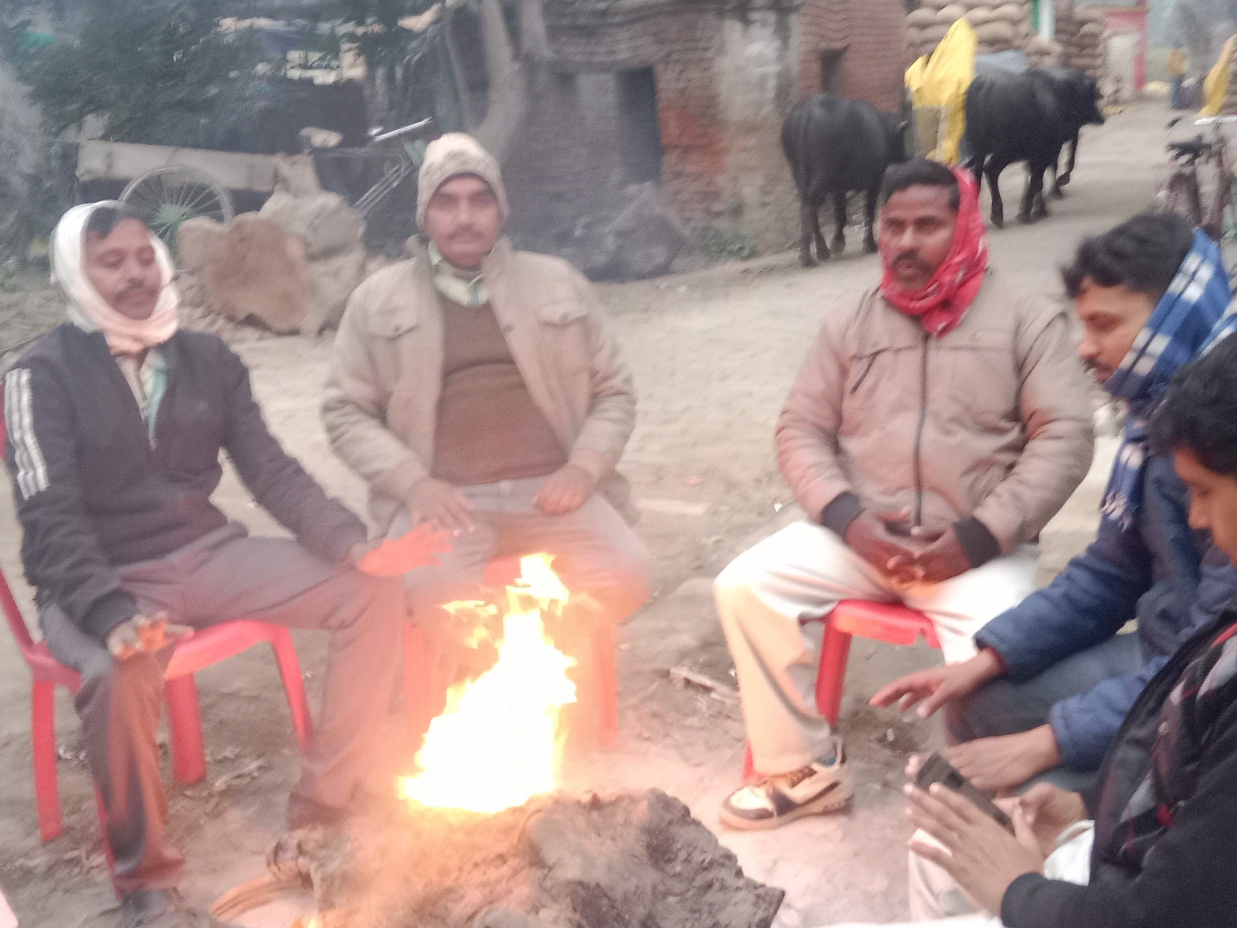 In Narwari, Pradhan representative Anil Yadav has been lighting ...