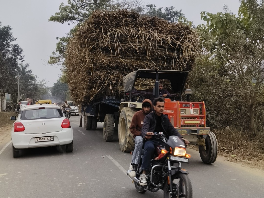 Overloaded sugarcane trolleys are damaging the roads.
