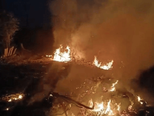 Fire breaks out in bushes near railway track in Pali