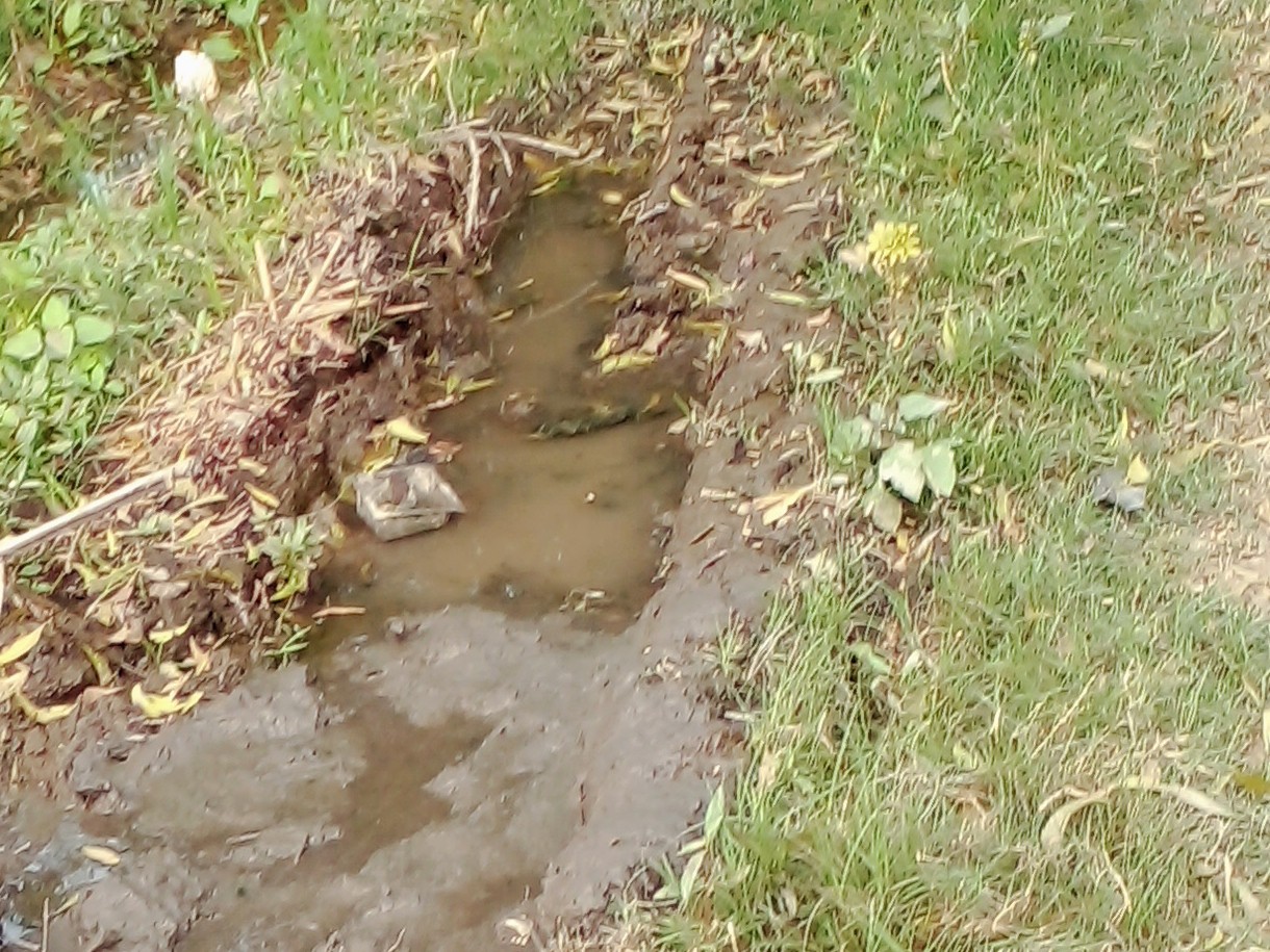 The drainage problem is serious in the entire Purva of Ayodhya ...