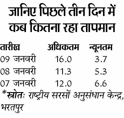 The coldest night of the season saw the mercury drop to 3.7 degrees ...
