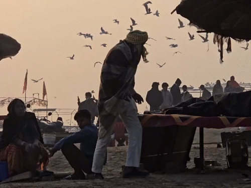 Severe cold wave grips UP mercury drops to 3.8°C Frosty winds hit 48 ...