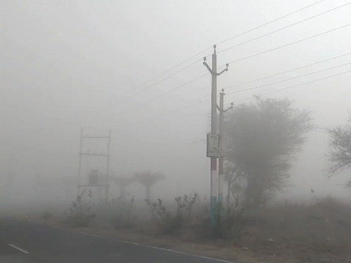 Chill increases in Rewa, night temperature will drop by 6 degrees ...