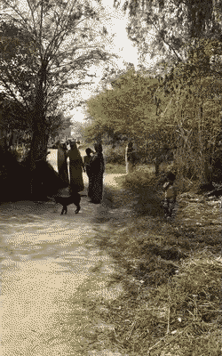 No toilets in village minor went outside and was gang-raped Women in ...