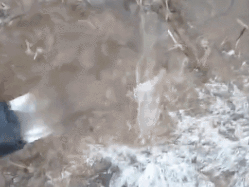 Rajasthan reels at -2°C as cold intensifies: IMD issues red alert today ...