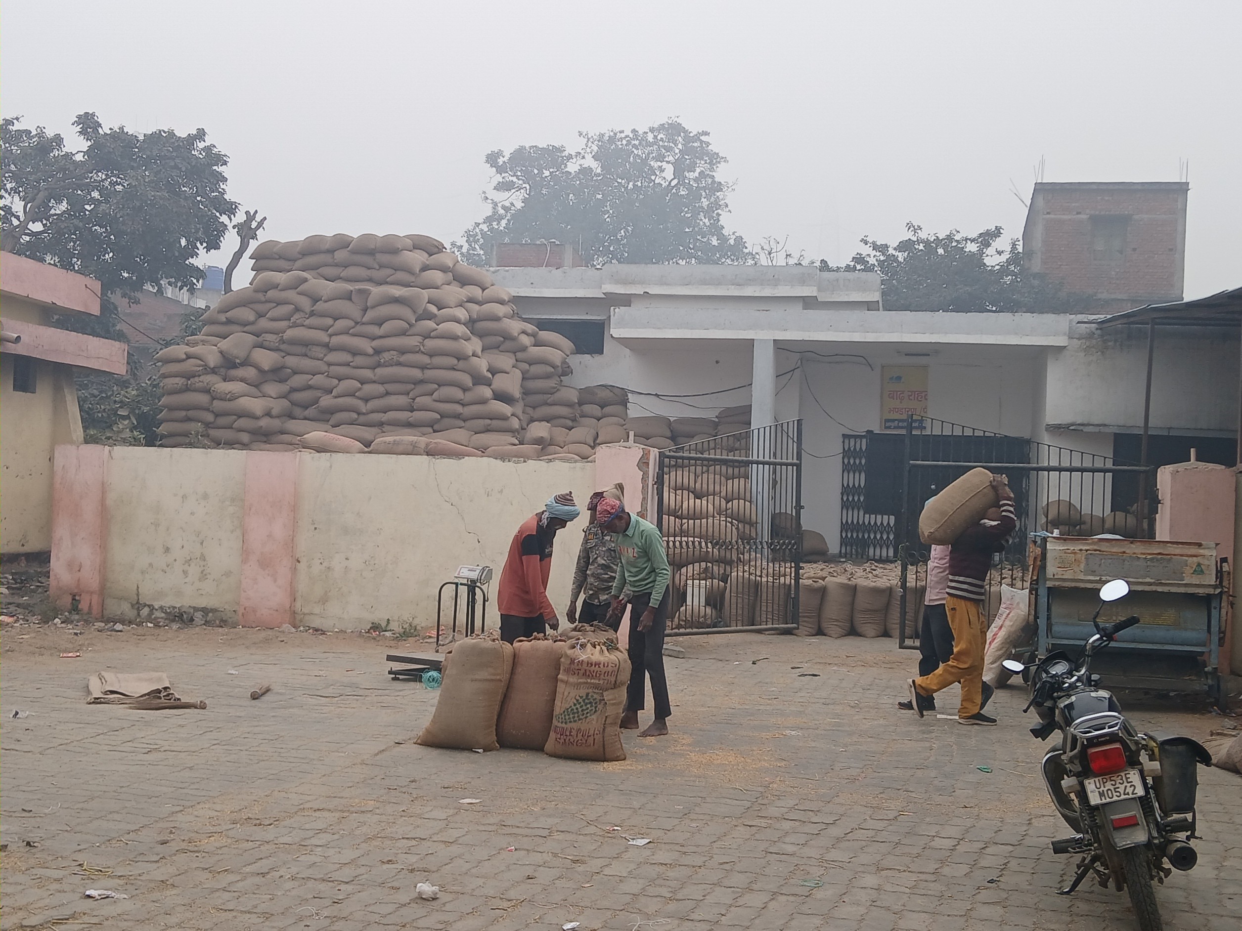Paddy procurement picks up in Sahajanwa | सहजनवा में धान खरीद तेज: 18 ...